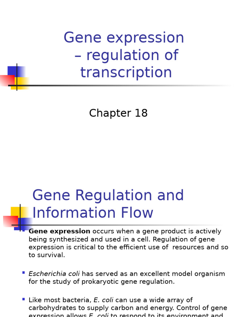 2024-Chapter18-Bacterial Gene Control-Students | PDF