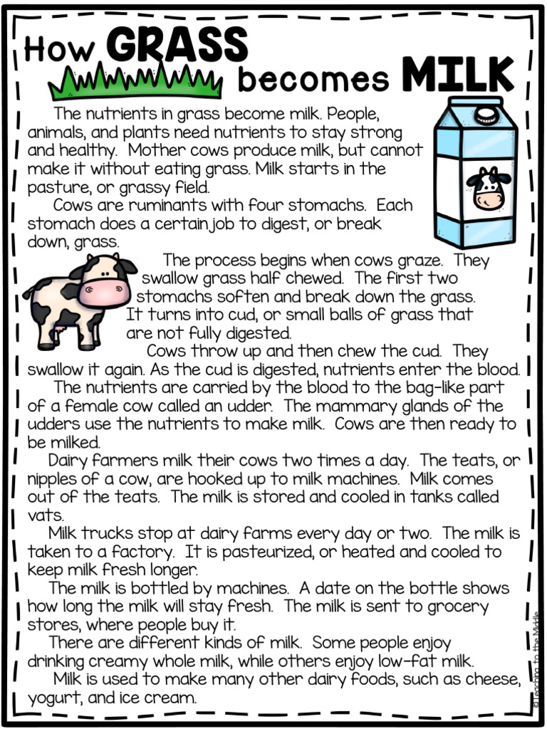 Grass Milk: How Becomes | PDF