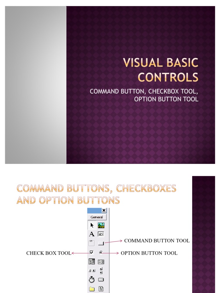 Command, Checkbox& Optionbuttons Visual Basic 6.0 | PDF
