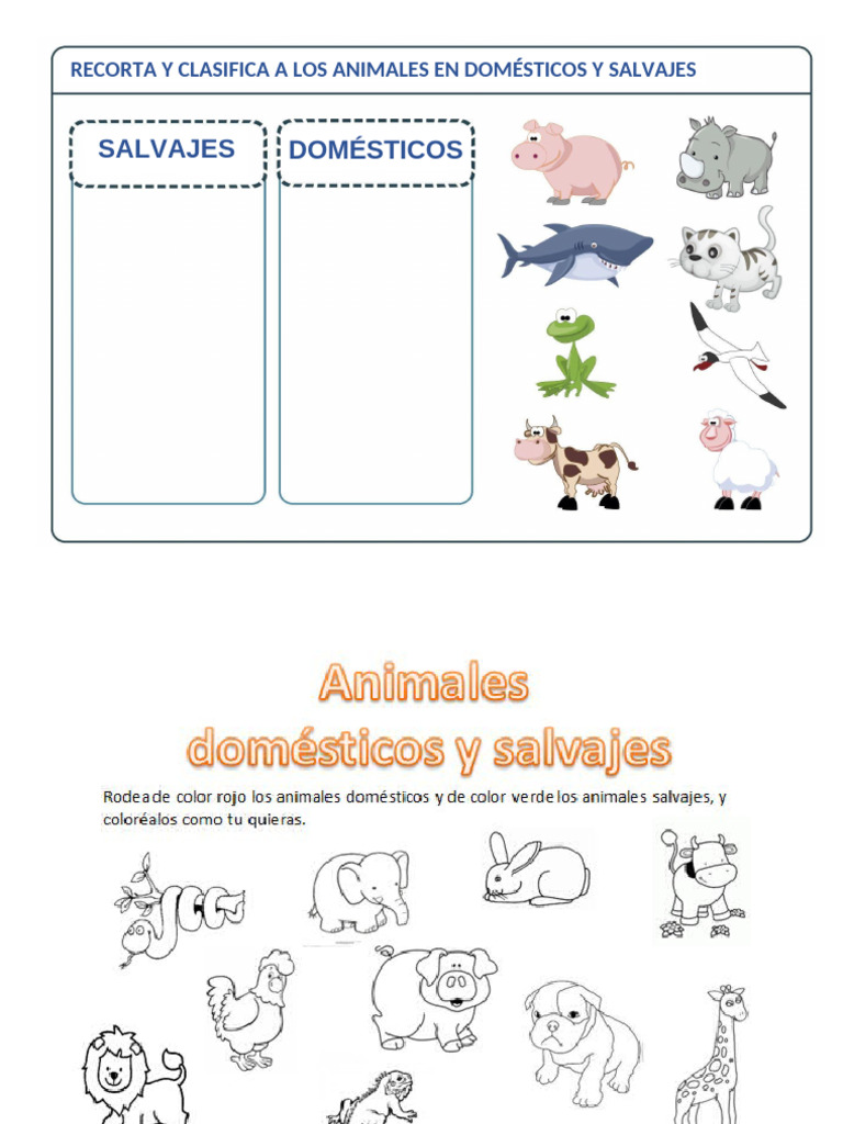 Clasificacion de Animales Salvajes y Domesticos | PDF