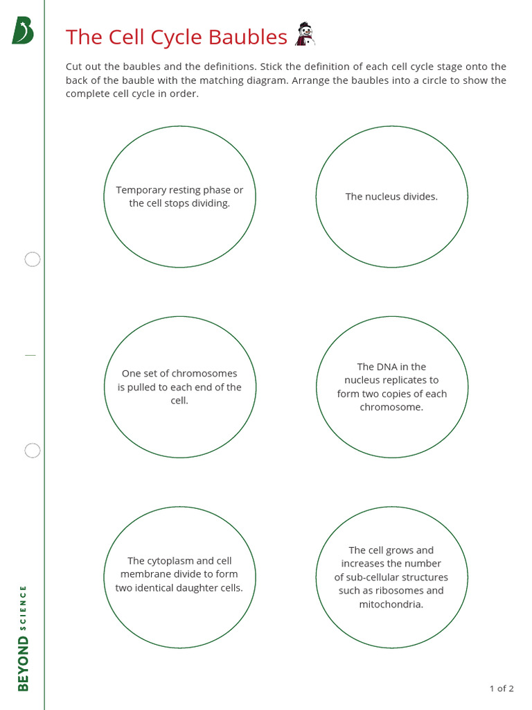 The Cell Cycle Baubles Cut and Stick | PDF