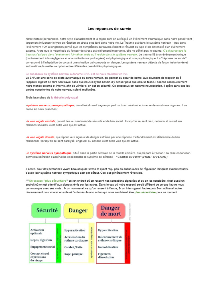 Les Réponses de Survie | PDF