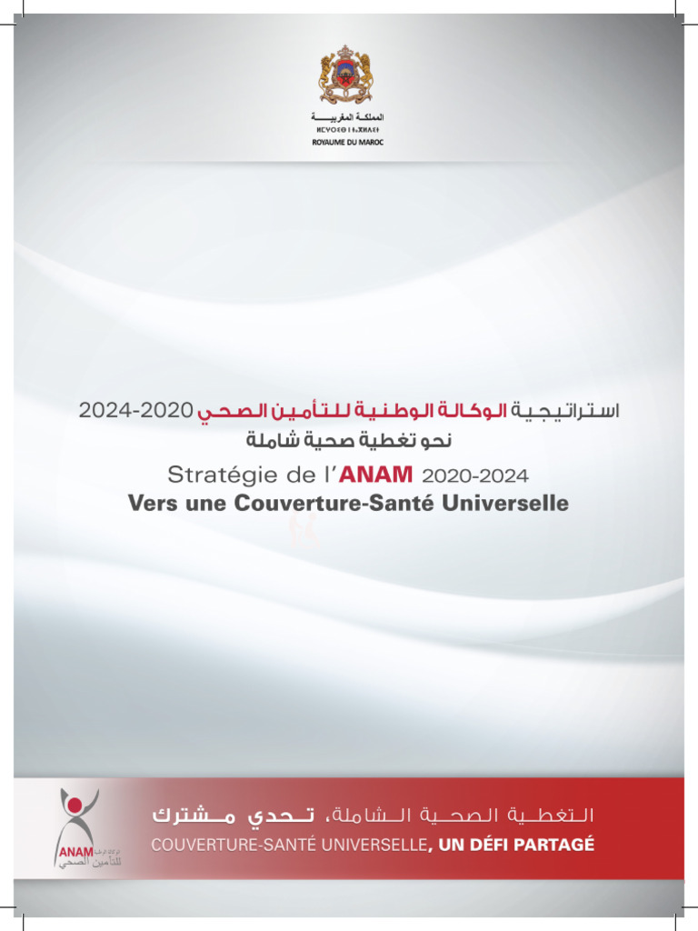 Strategie ANAM | PDF