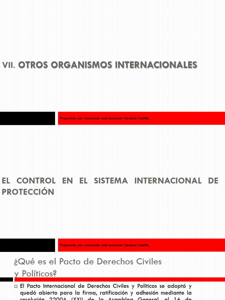 7.2 Otros Organismos Internacionales 2024-PDCP y PIDESC 2do Examen | PDF