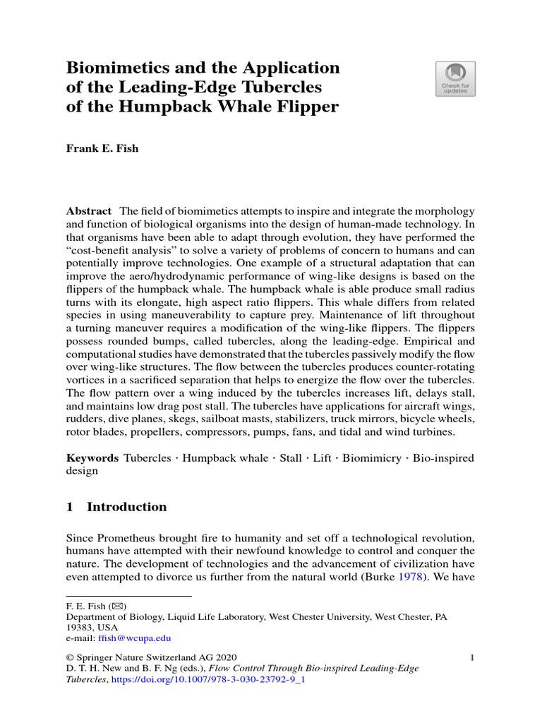 Humpback Whale Flipper | PDF