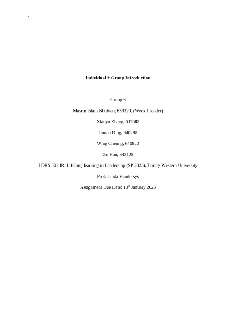 Assignment 1 (Group 6) - Individual + Group Introduction | PDF
