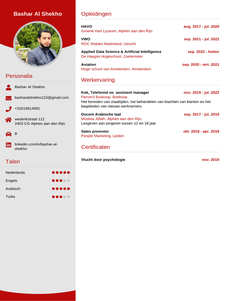 CV Bashar Al Shekho | PDF