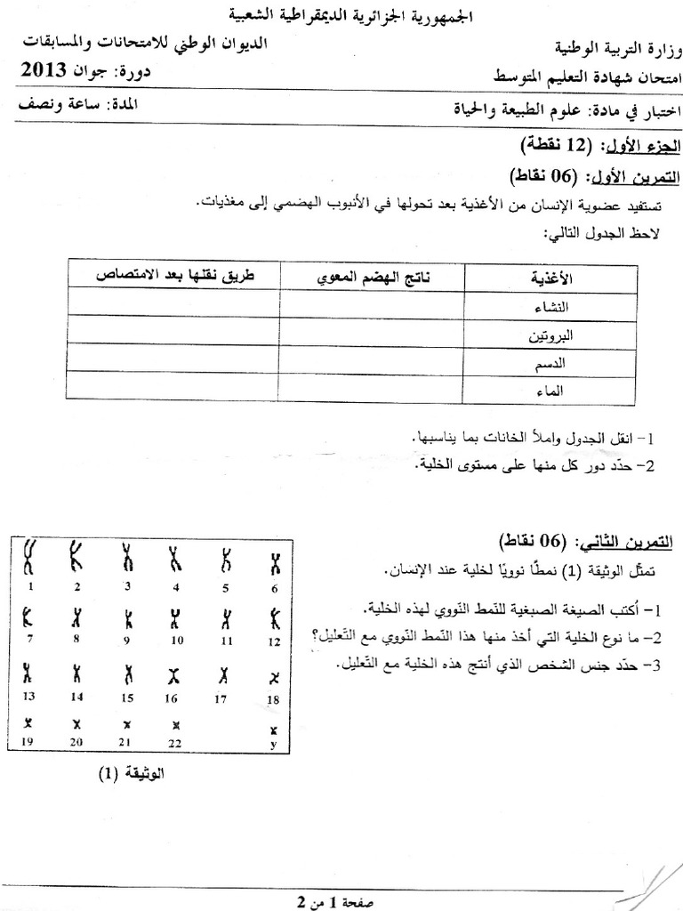 Dzexams Bem Sciences 752846 | PDF