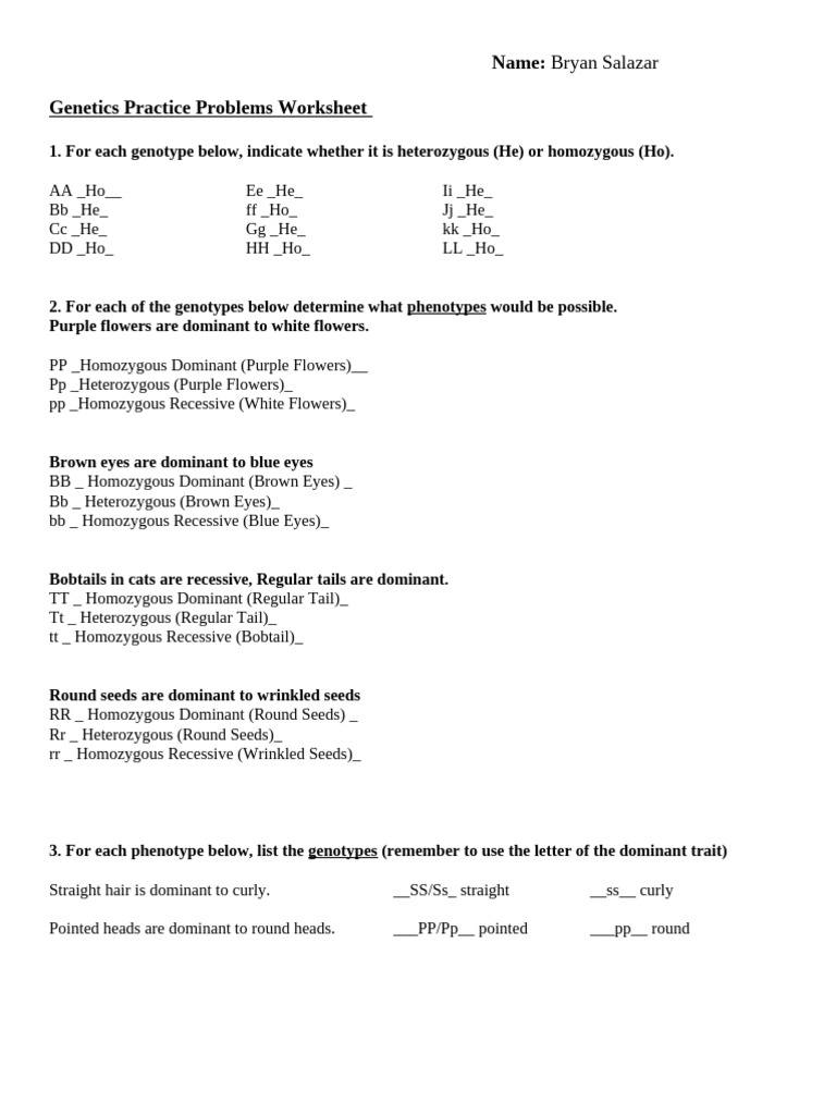 Genetics Practice Worksheet.student Copy | PDF