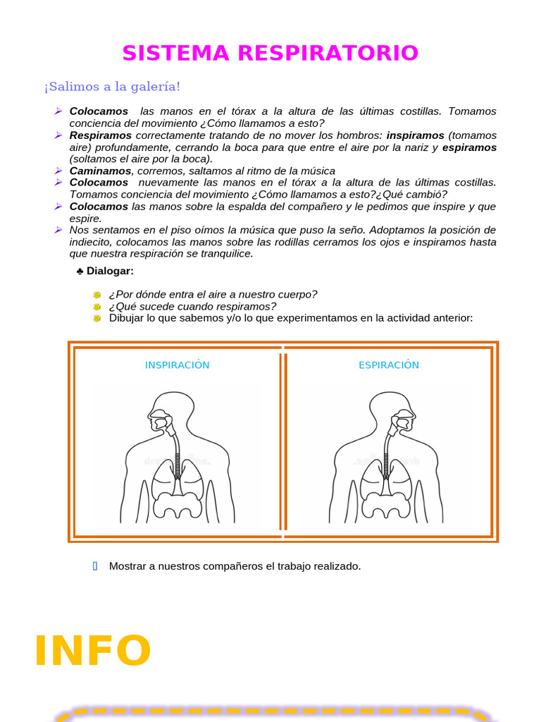 Sistemas Respiratorio y Circulatorio | PDF