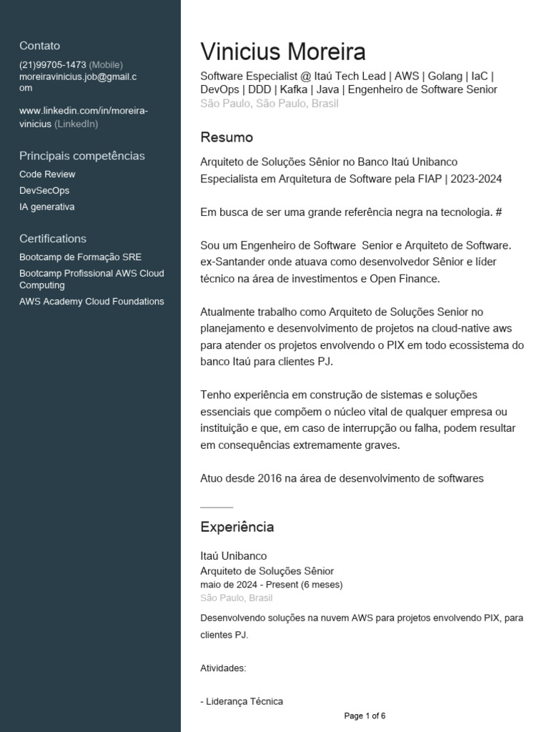 CV Vinicius Moreira | PDF