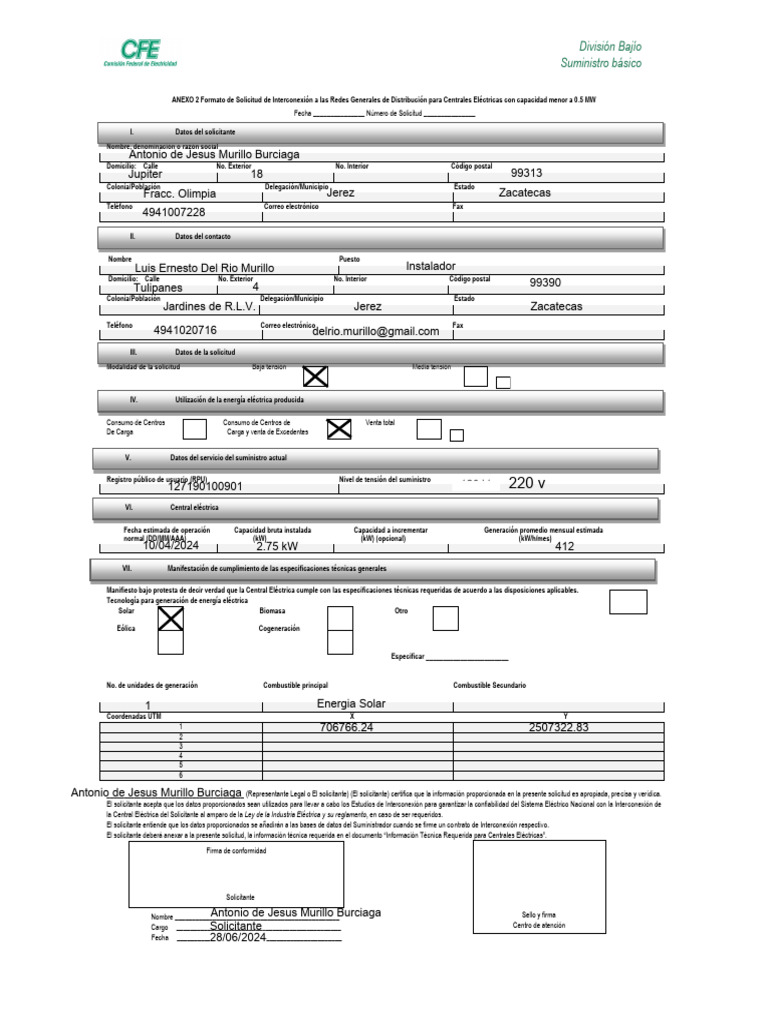 Formato 2 Interconex | PDF