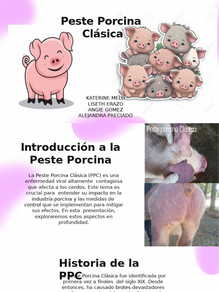 Peste Porcina Clasica...... | PDF | Peste (enfermedad) | Virus