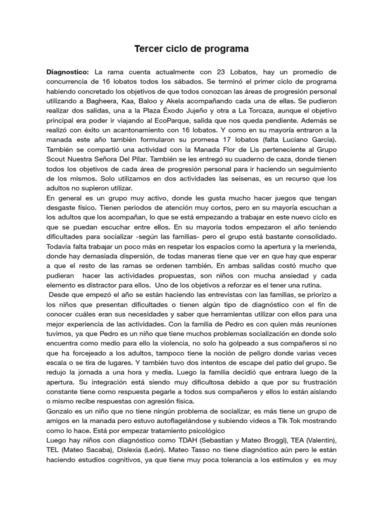 Tercer ciclo de programa | PDF