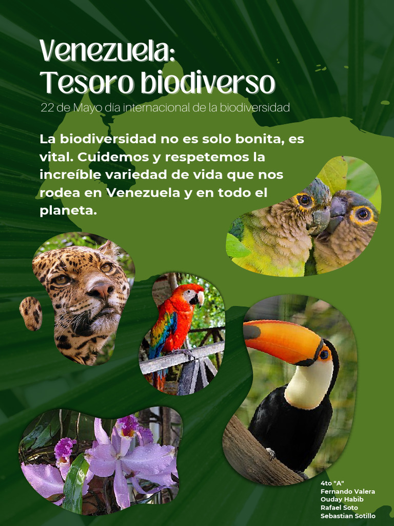 Poster Día de la Biodiversidad Collage Fotos Curvilíneas Verde_20240520 ...