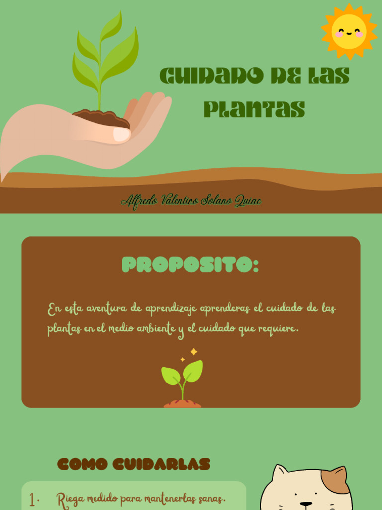 Cuidado de Las Plantas - Alfredo Valentino Solano Quiac | PDF