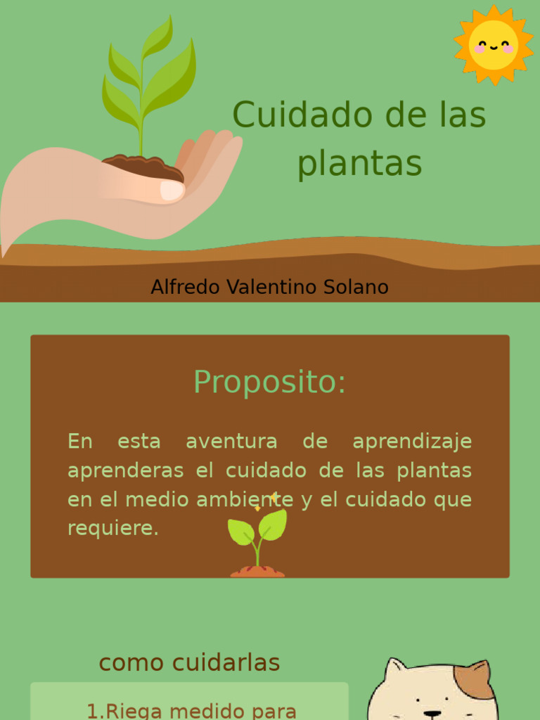 Cuidado de Las Plantas - Alfredo Valentino Solano Quiac | PDF
