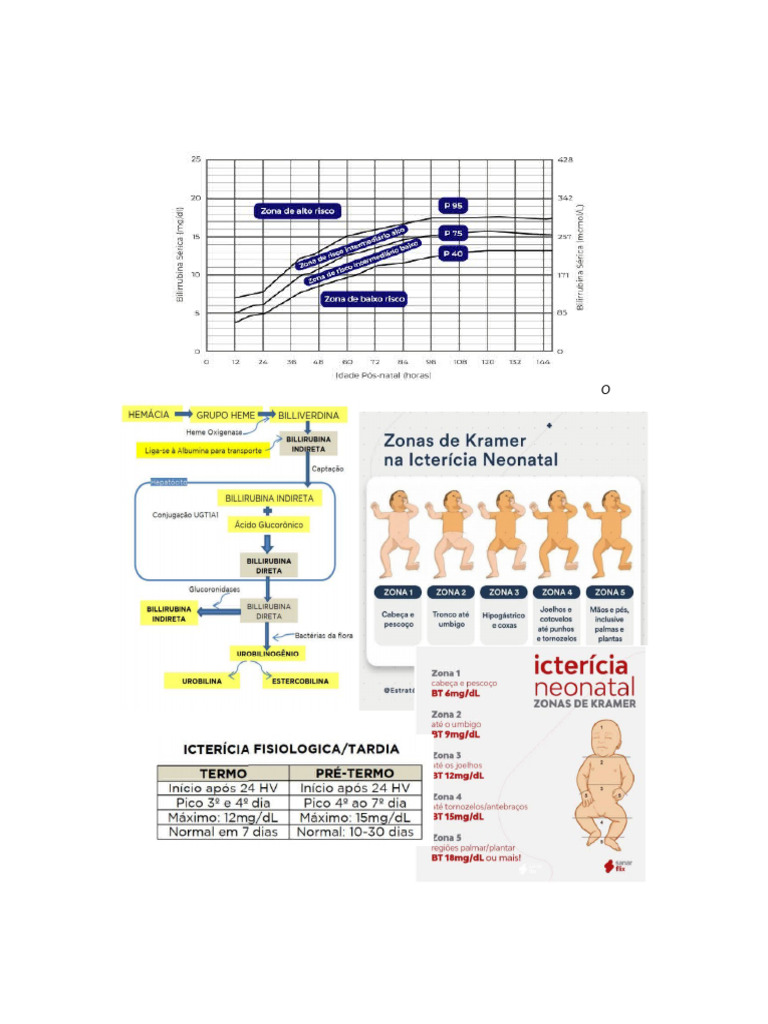 Estudar A Curva de Lubchenco | PDF