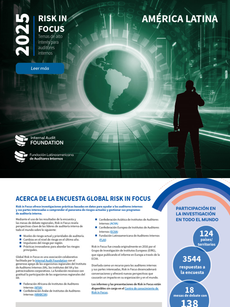 Risk in Focus 2025 | PDF
