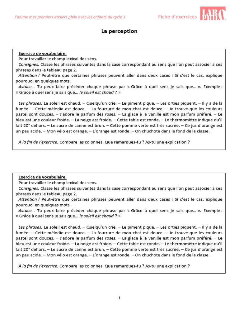 Fiche D'exercices - La Perception | PDF