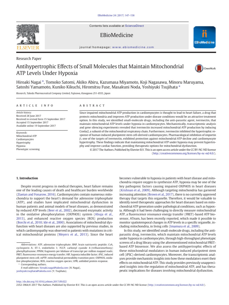 Antihypertrophic Effects of Small Molecules That Maintain Mitochondrial ...