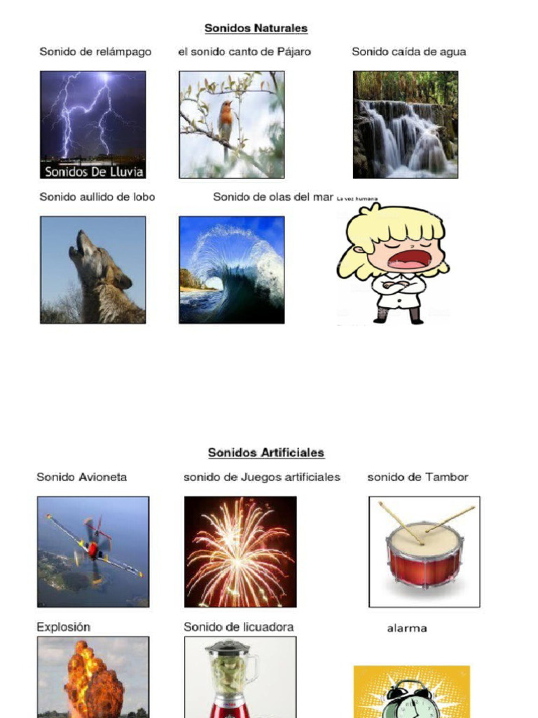 Sonidos Artificiales y Naturales | PDF