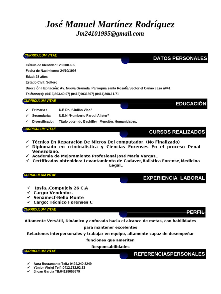 Curriculum Jose Manuel | PDF