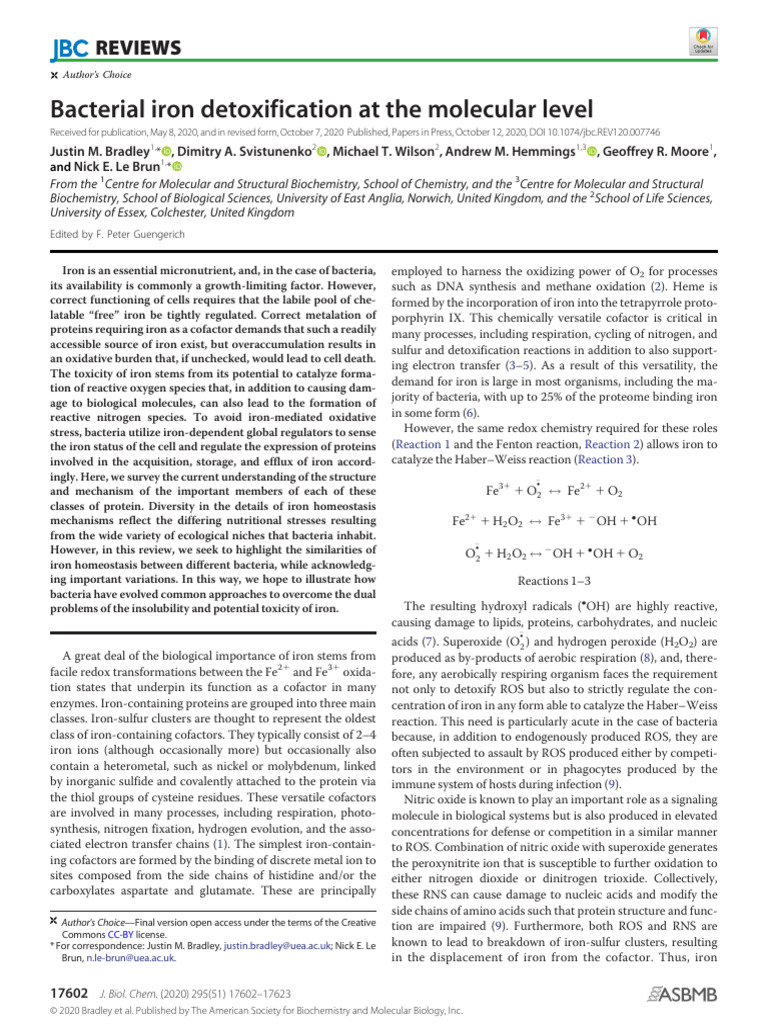 Bacterial Iron Detoxification at The Molecular Level | PDF