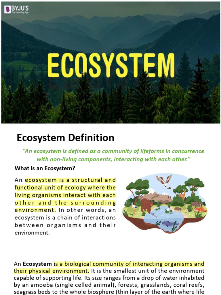 Basic Concept of Ecosystem | PDF | Ecosystem | Food Web