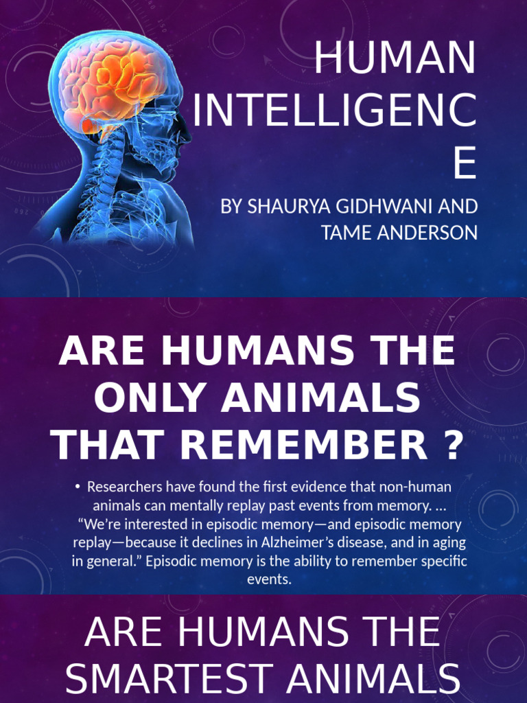 Global Perspective Presentation On Human Intelligence | PDF