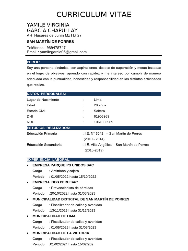 Curriculum Modelo Yamile | PDF