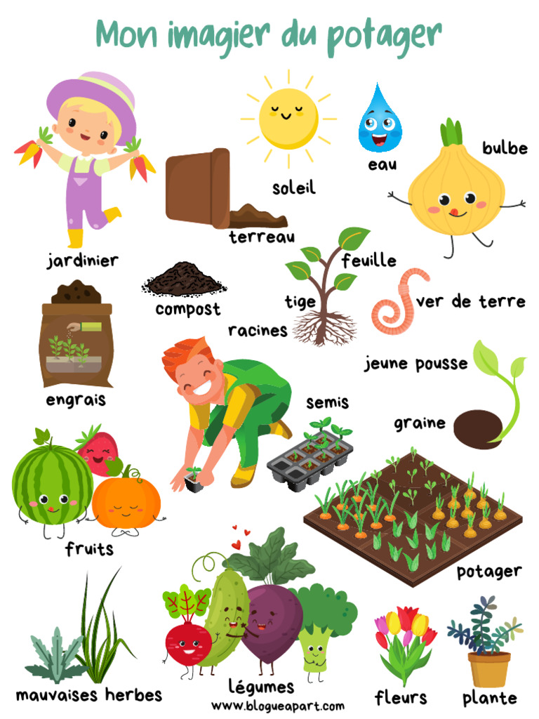 Vocabulaire - potager | PDF