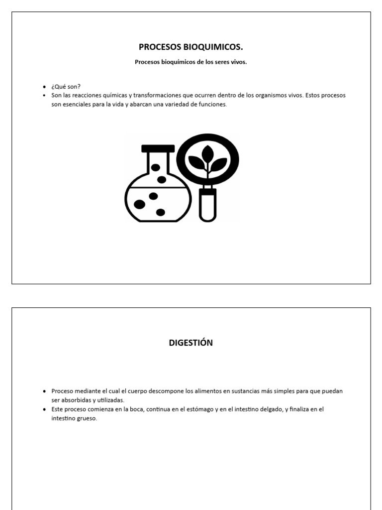 Procesos Bioquimicos | PDF