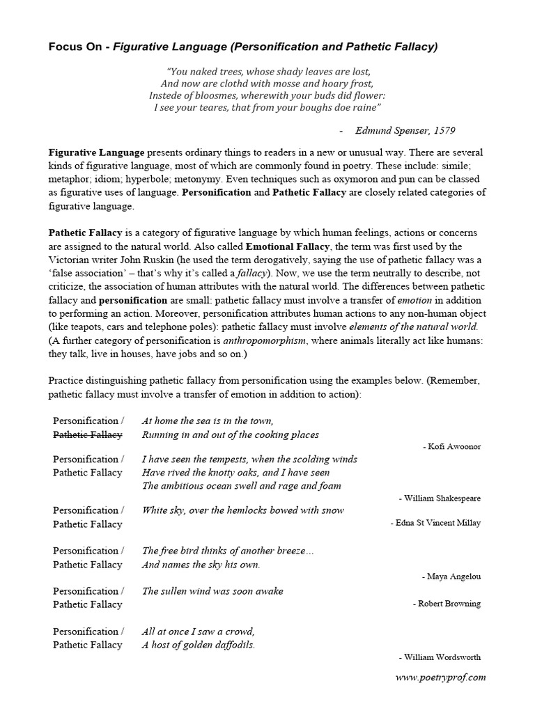 Focus On - Figurative Language (Personification and Pathetic Fallacy) | PDF