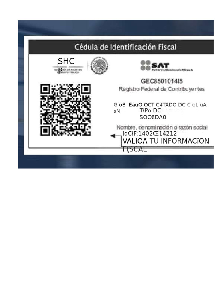 RFC Cedula de Identificacion Fiscal (1) (1) | PDF