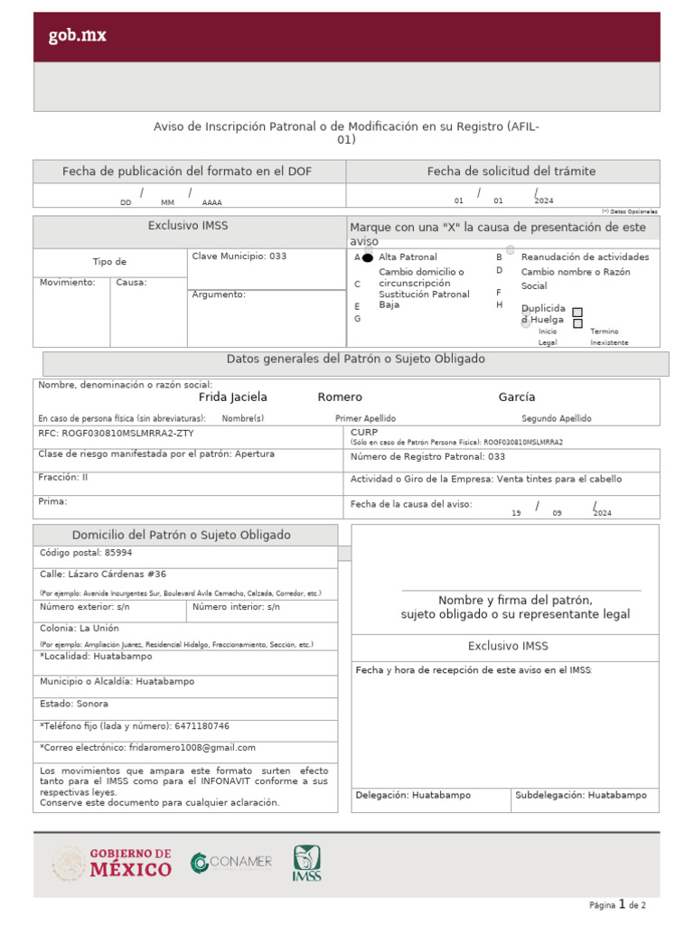 Formato 5 | PDF