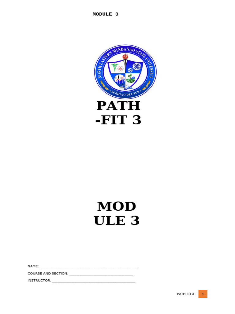 Module 3 in PATH FIT 3 | PDF