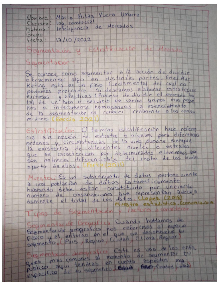 Segmentación y Estratificación de Mercado - MHYU | PDF