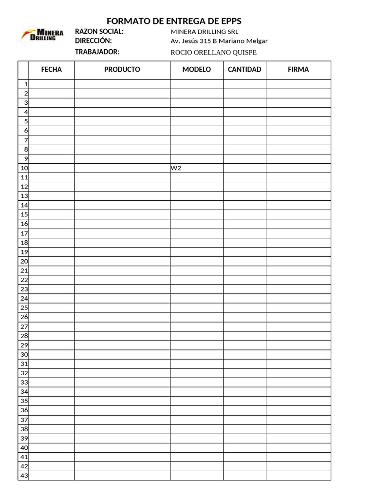 FORMATO DE ENTREGA DE EPPS | PDF