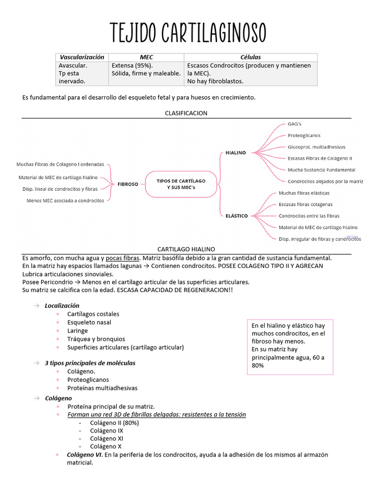 H6 Tejido Cartilaginoso | PDF