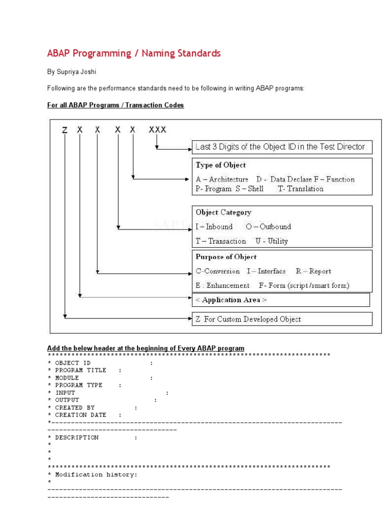ABAP Programming Naming Standards Guide | PDF