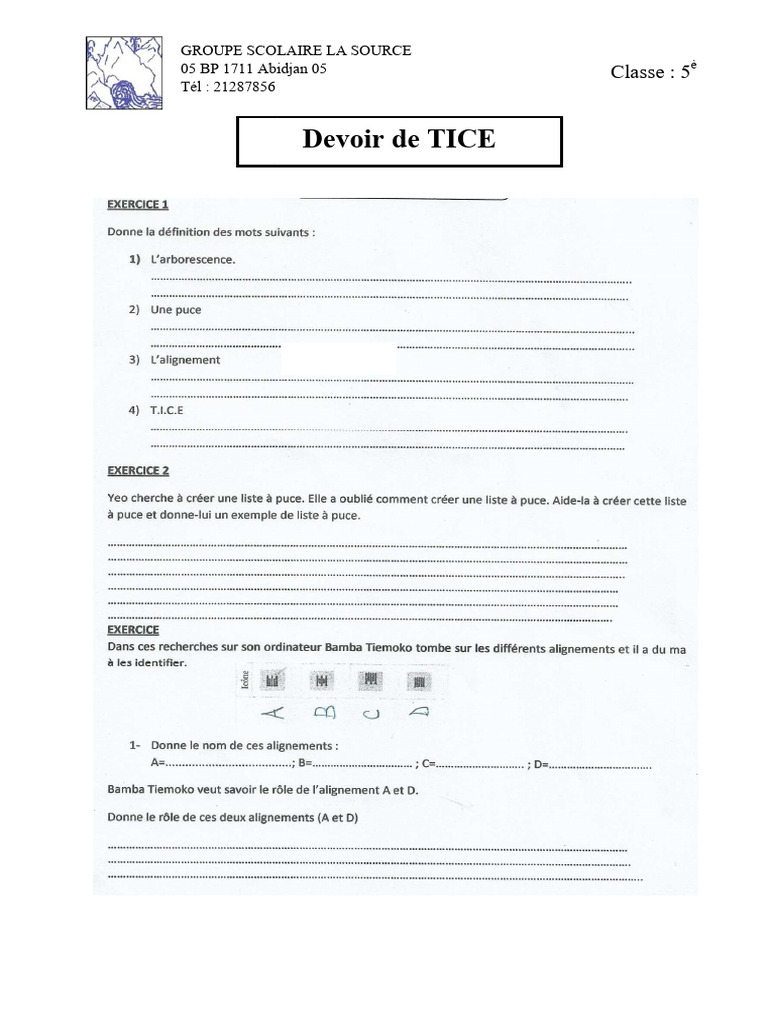 Devoir de TICE 5è | PDF