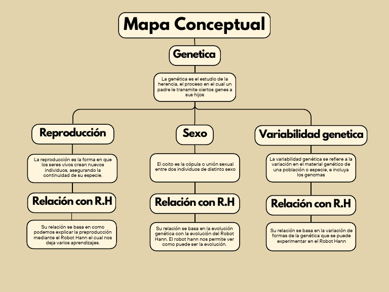 Gráfica Mapa Conceptual Simple Colorido | PDF