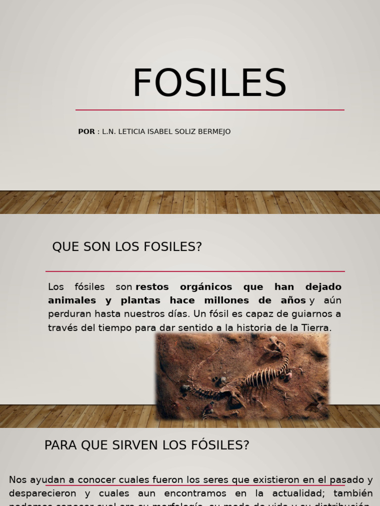 Ejemplos y tipos de fósiles | PDF | Fósil | Ciencias sociales