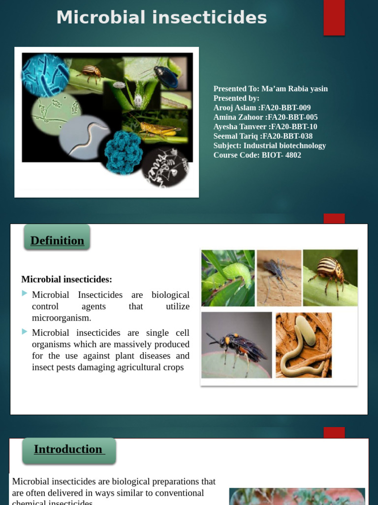 Microbial Insecticides Group 1 | PDF