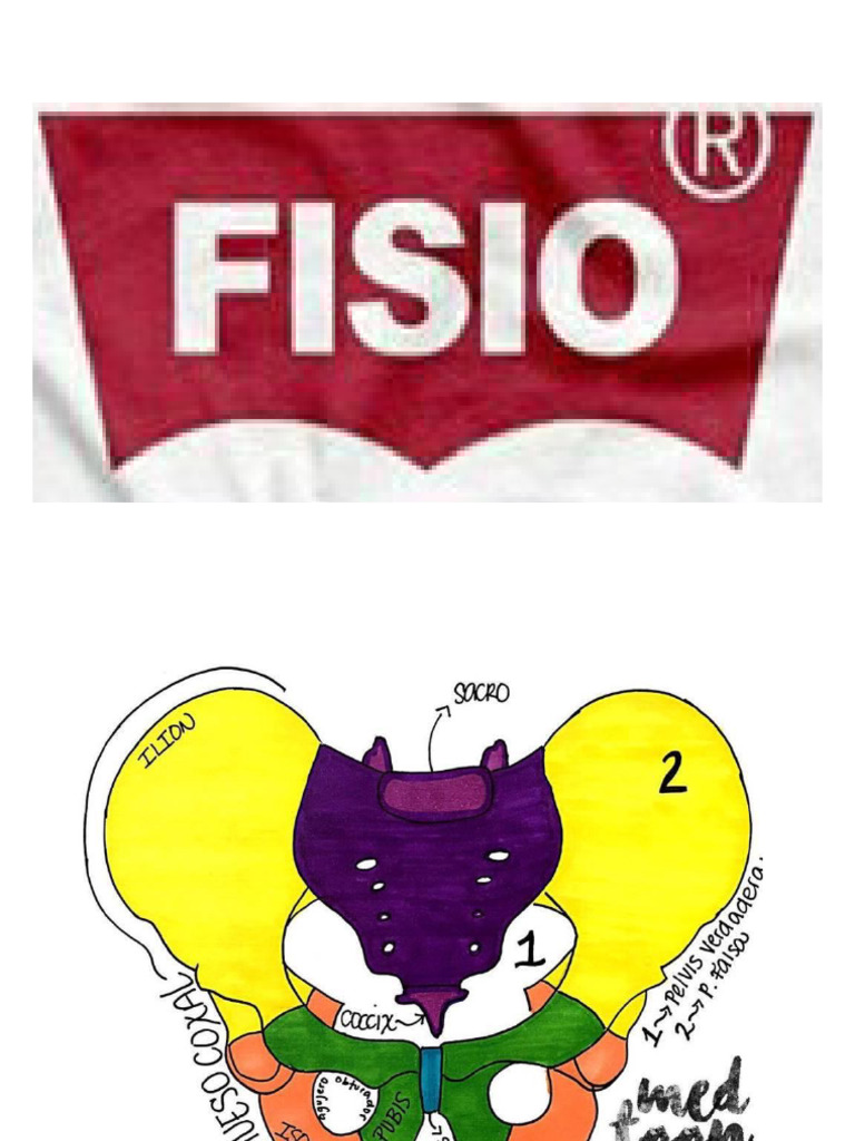 fisio | PDF
