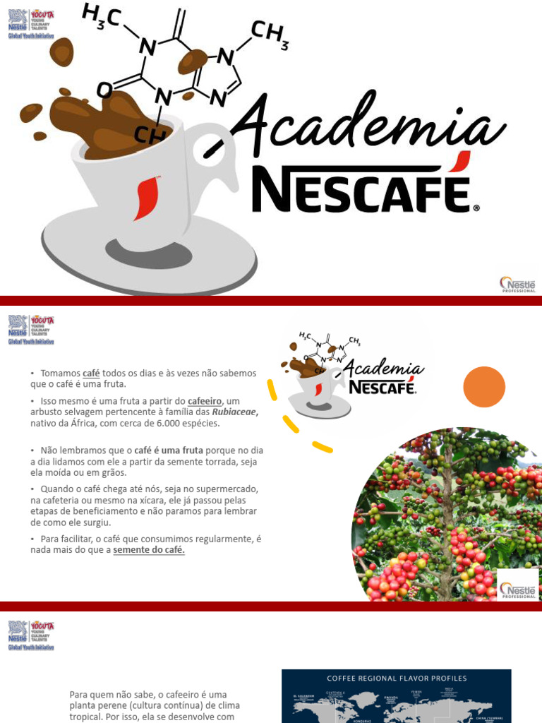 D10 01 PPT Cafes | PDF