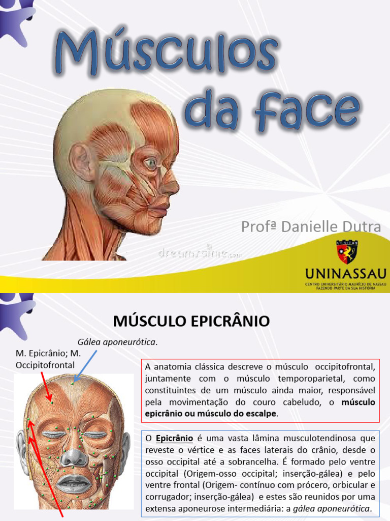 Aula - Músculos Da Face | PDF | Cabeça e pescoço humano | Sistema Locomotor