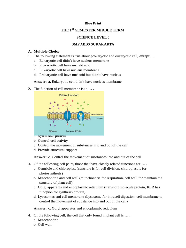 Blue Print Science Level 8 | PDF