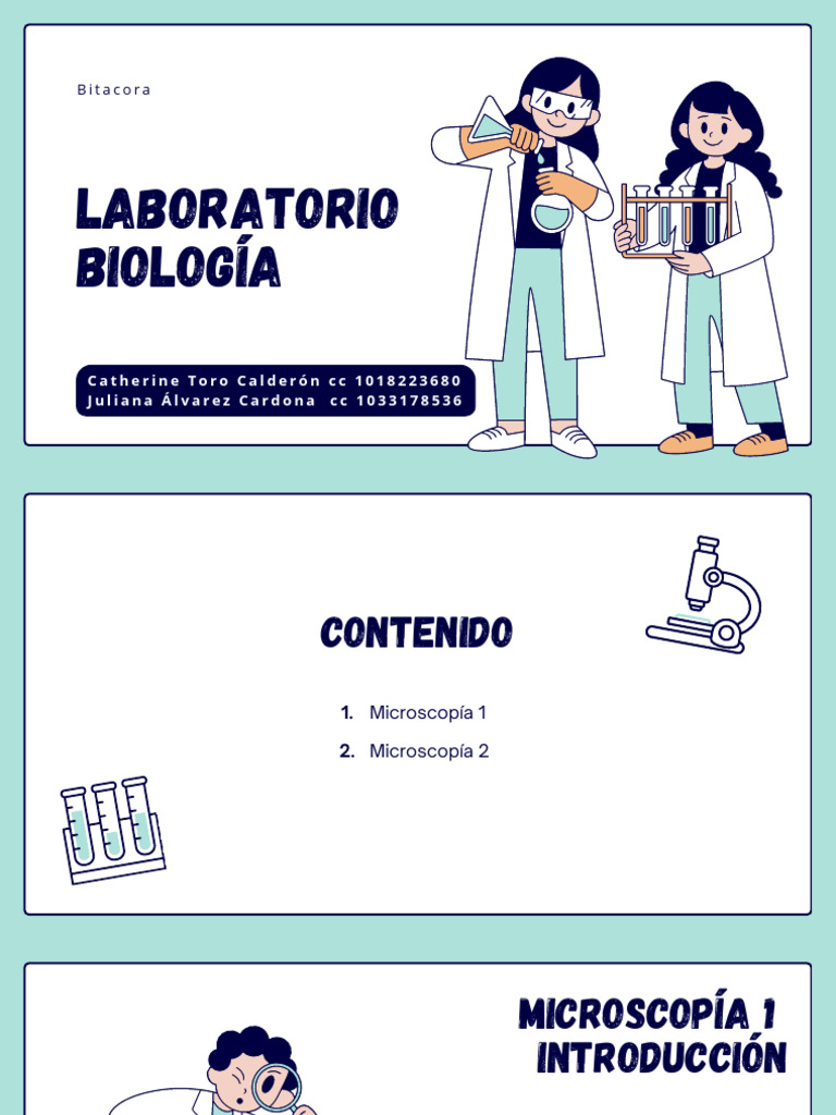 Laboratorio Bitácora | PDF
